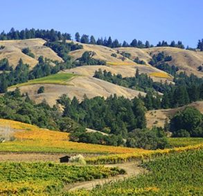 Top Ten Anderson Valley Wineries That Every Pinot Lover Should Get to ...